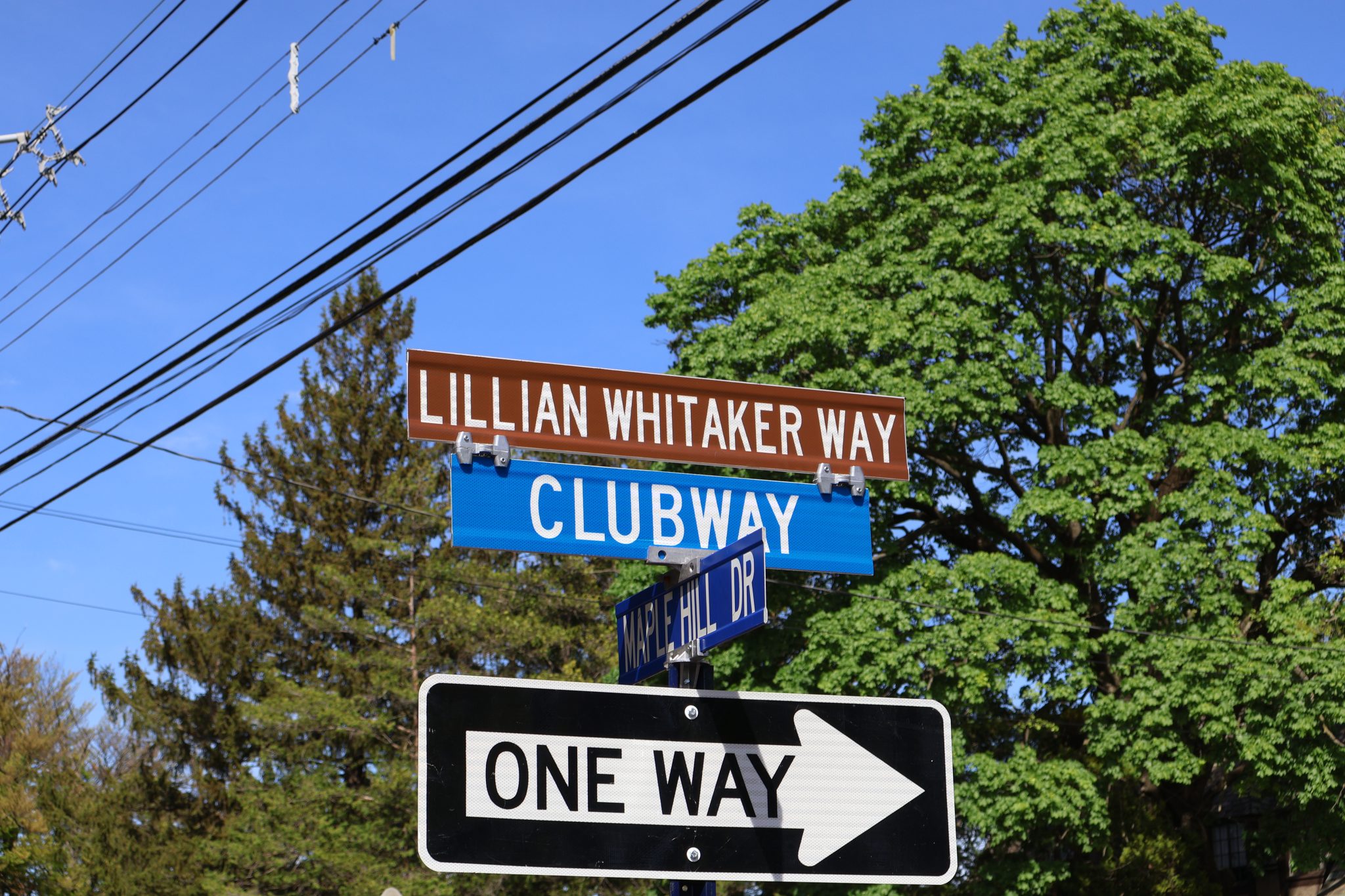 Something for Everyone, All Summer Long! - The City Of Hackensack